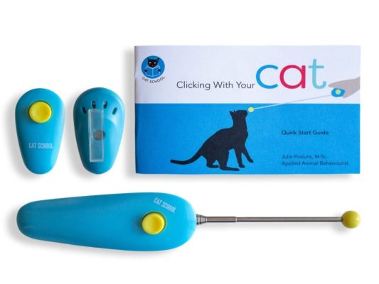 Clicker Training For Cats: The 8 Most Detailed Steps Guide