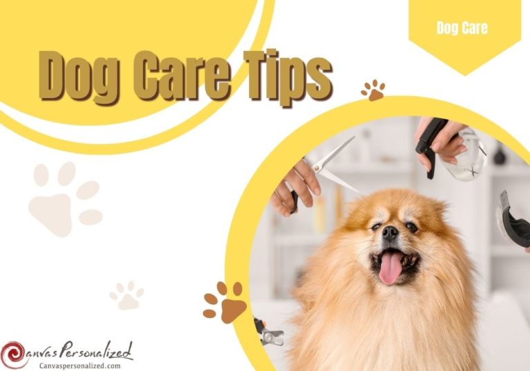 Top 40 Helpful Dog Care Tips For A Healthy And Happy Pet