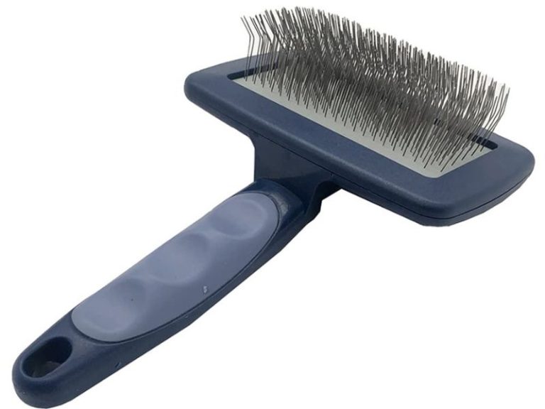 17 Best Professional Dog Grooming Tools For Pups Look Great