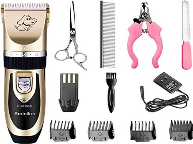 17 Best Professional Dog Grooming Tools For Pups Look Great