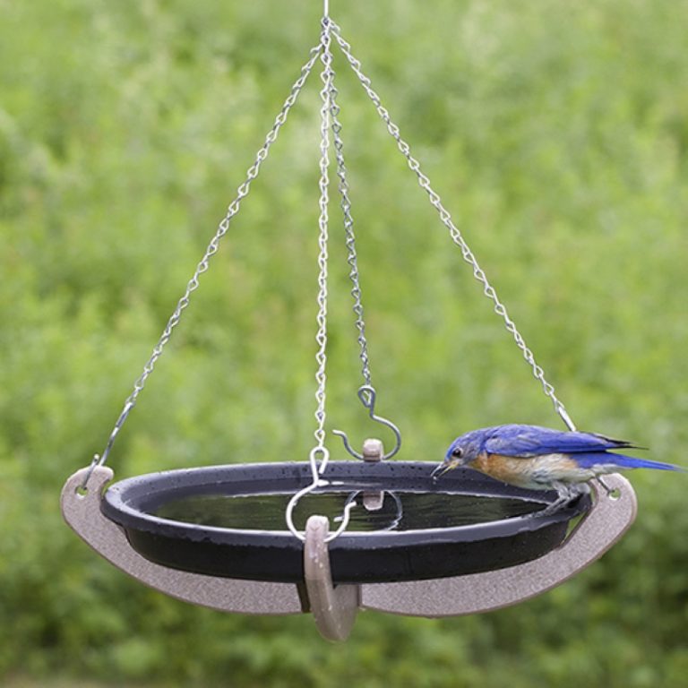 25 Unique Gifts For Bird Lovers That They Will Adore