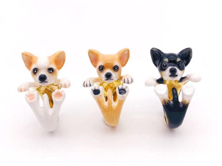 30 Perfect Gifts For Chihuahua Lovers That Melt Their Hearts