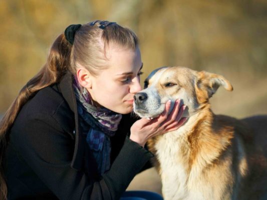What Is Positive Reinforcement Dog Training & Dose It Work?