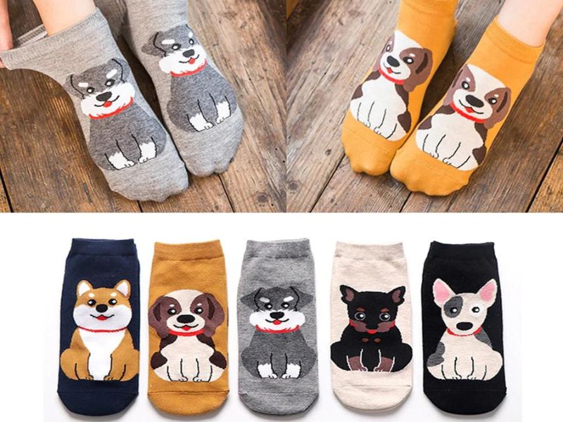 28 Super Cute Gifts For Schnauzer Lovers In Your Life (2023)