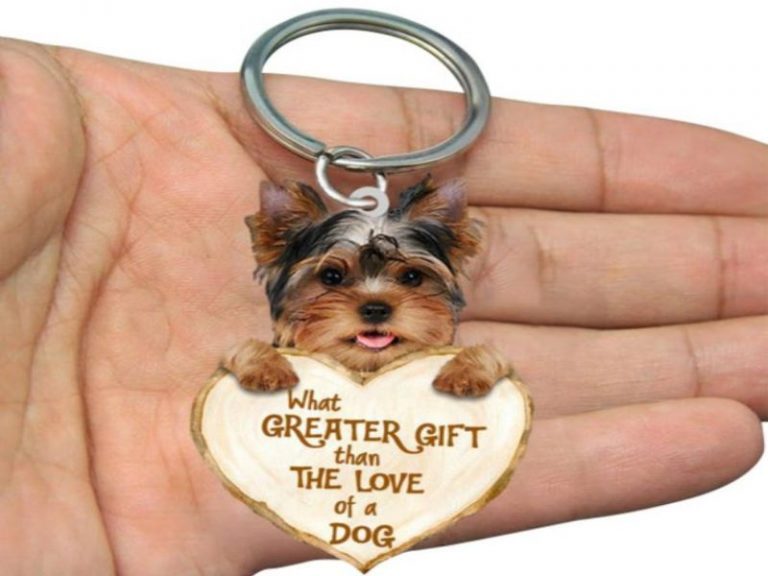 Discover 30 Perfect Gifts For Yorkie Lovers To Unleash Love