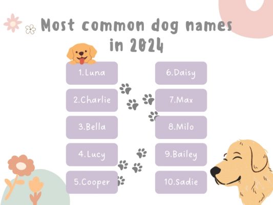 The Most Common Dog Names In 2024 And More