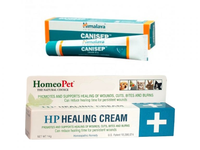 Effective Cat Wound Care: Healing Tips For A Speedy Recovery