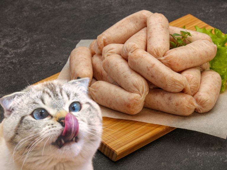 Can Cats Eat Vienna Sausage? No, And Here's Why