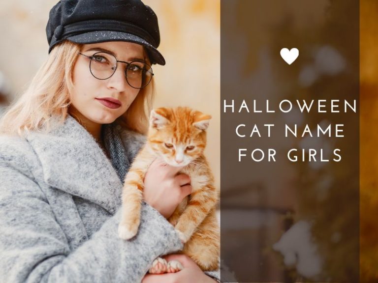 420+ Halloween Cat Names: A Hauntingly Fun Collection