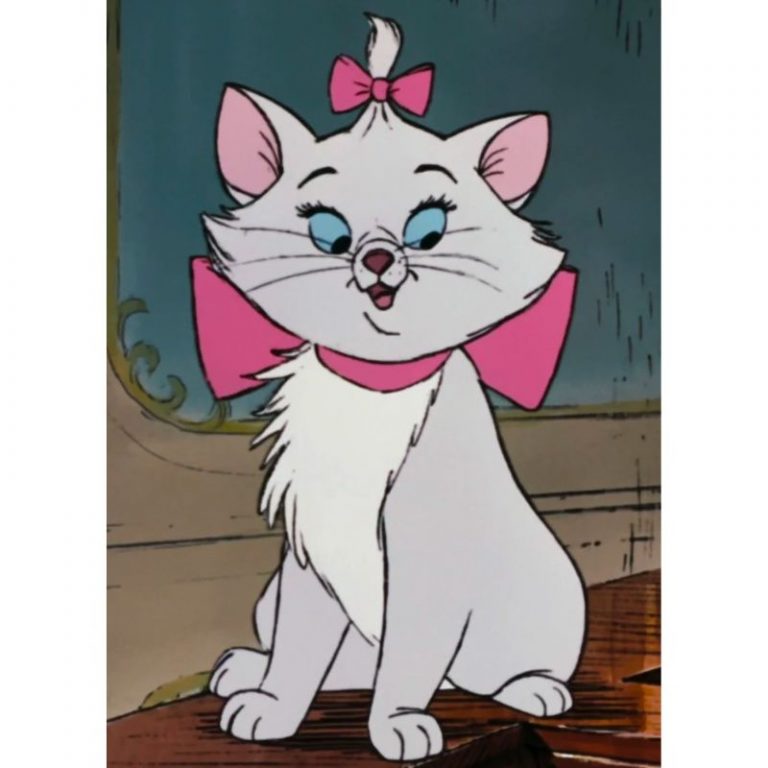 370+ White Cat Names: The Most Comprehensive List Ever