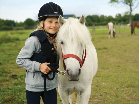 Discover 19 Popular Pony Breeds A-Z With Stunning Images