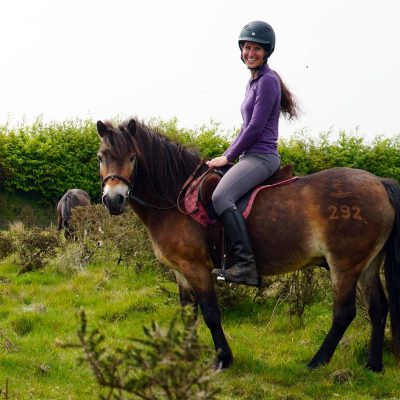 Discover 19 Popular Pony Breeds A-Z With Stunning Images