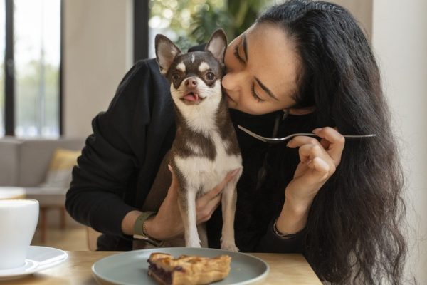 250+ Cutest Food Dog Names For Your Four-Legged Friend